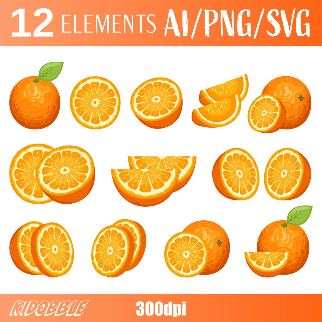 Delicious Orange Fruit Clipart Vector Juicy Citrus Illustration Healthy ...