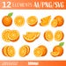 Delicious Orange Fruit Clipart Vector Juicy Citrus Illustration Healthy ...