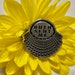 Ruth Sent Me Lapel Pin - Etsy