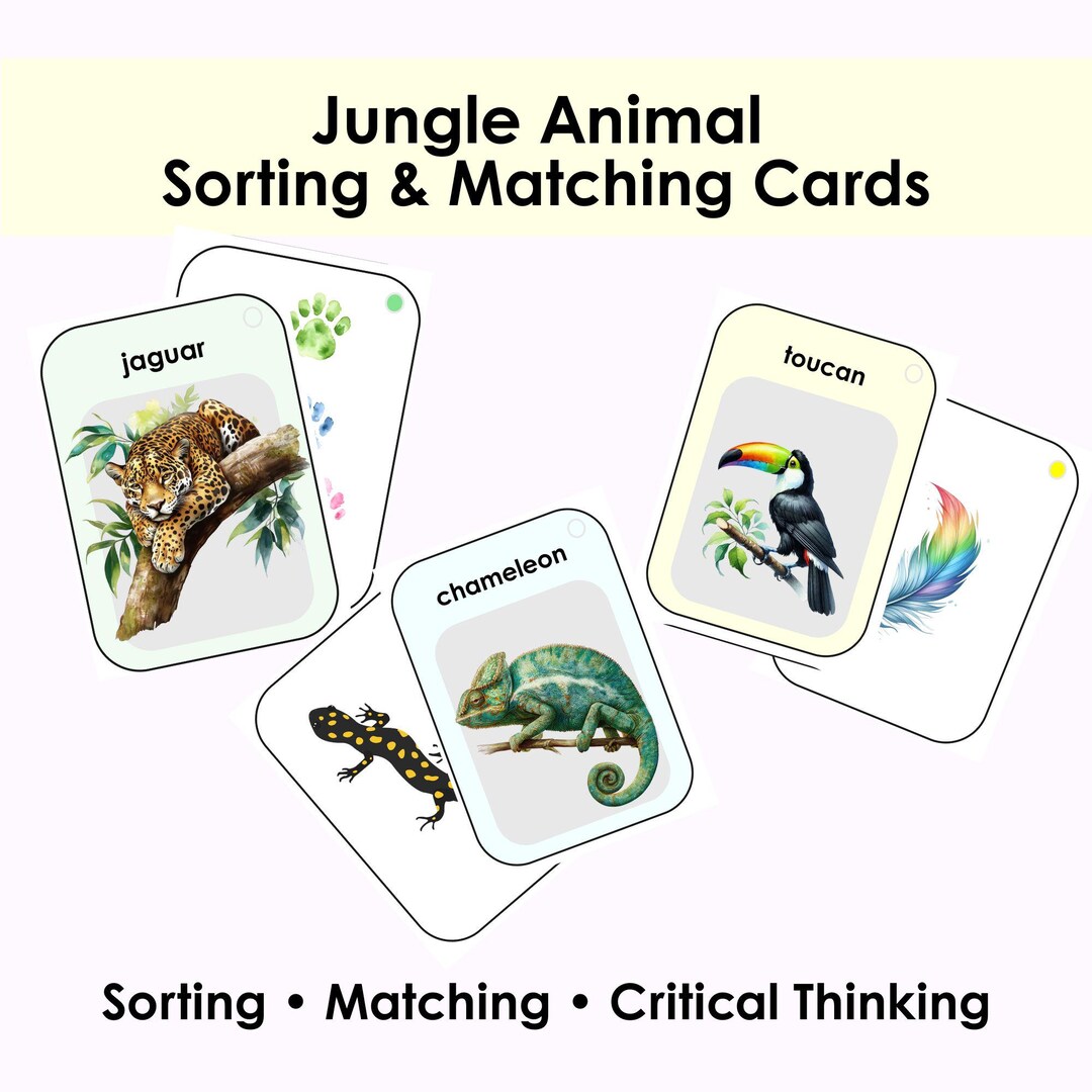Jungle Animal Sorting Cards Printable Preschool Matching Game ...