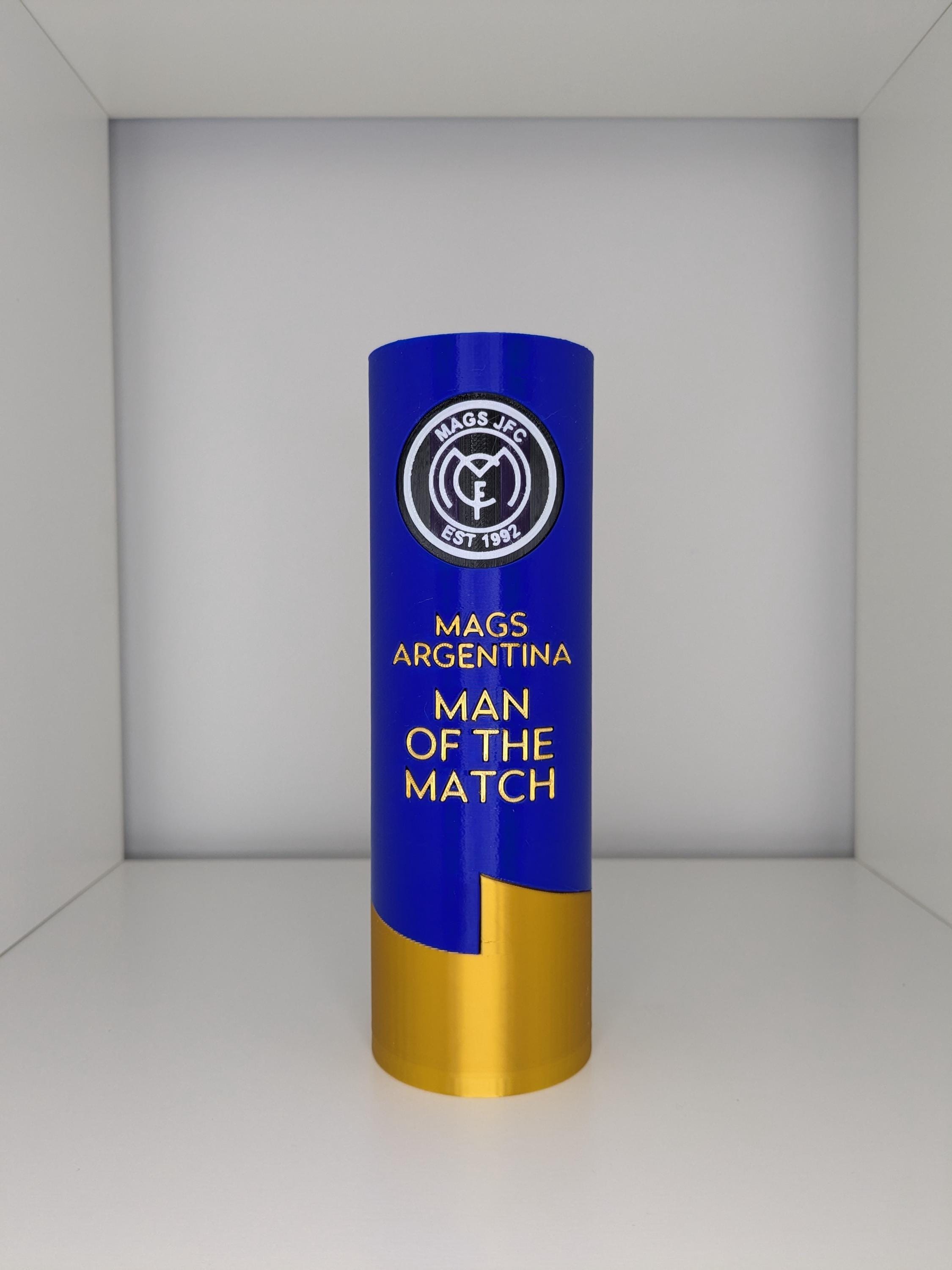 Personalized Fantasy Football Trophy: Custom FPL Champion Award - Etsy