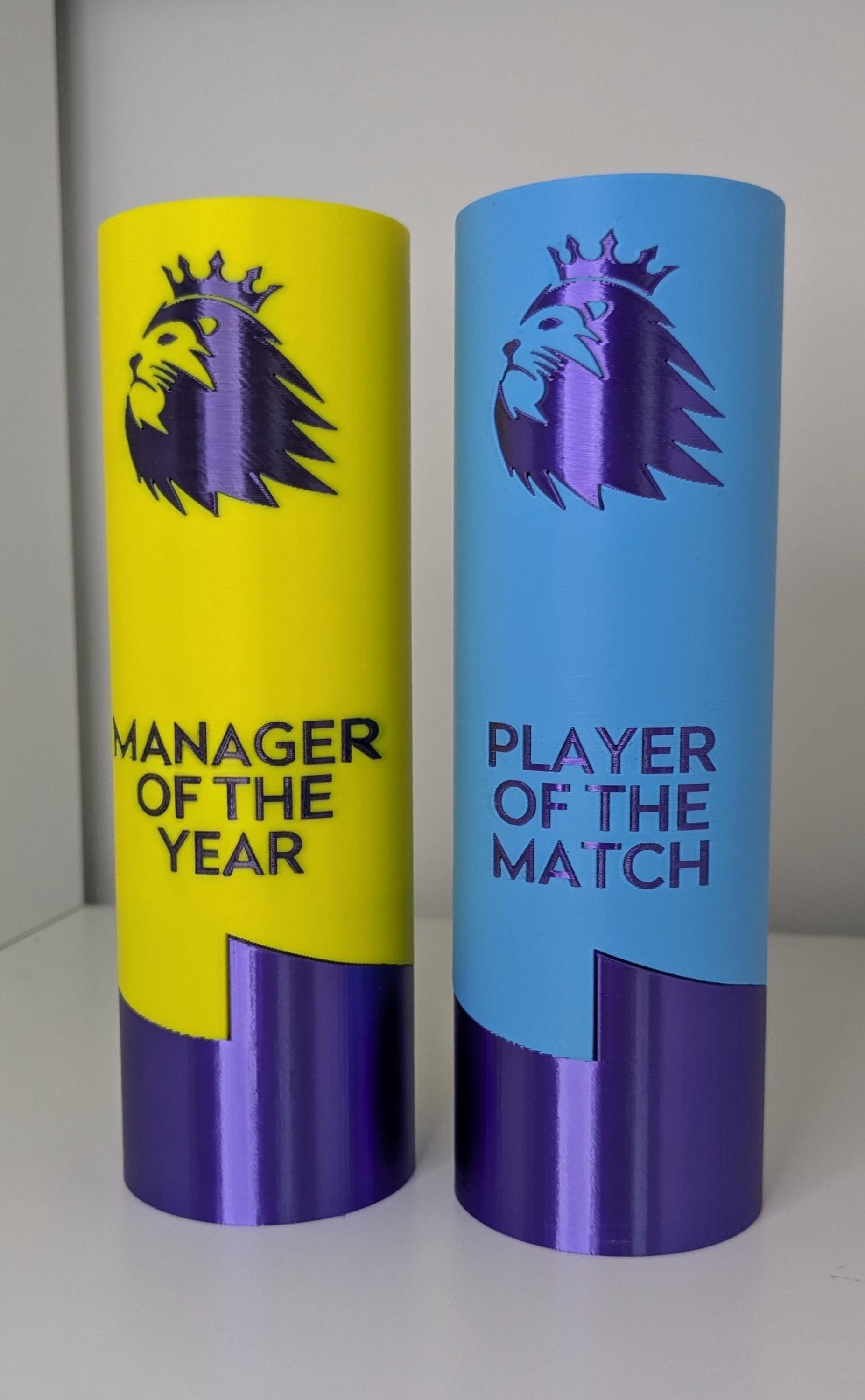Personalized Fantasy Football Trophy: Custom FPL Champion Award - Etsy