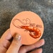 Krill Sticker - Etsy