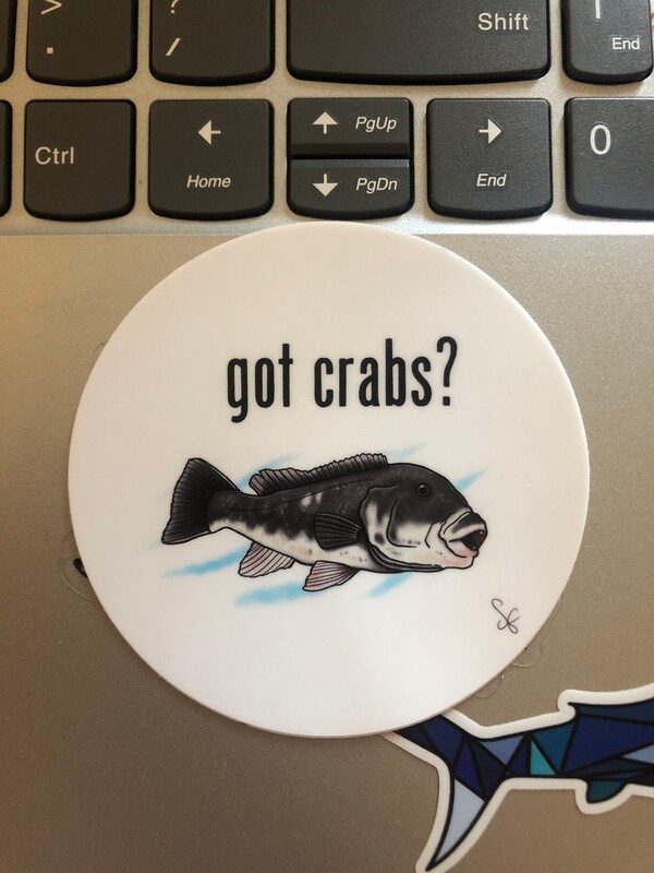 Wisconsin Native Fish Species Poster - Etsy