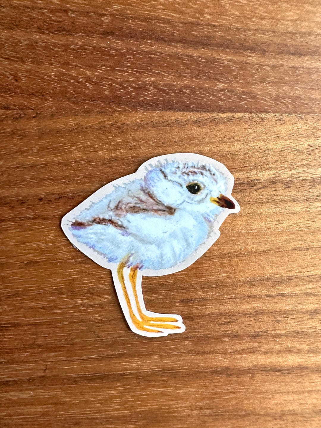 Piping Plover Chick | Die Cut Waterproof Sticker - Etsy