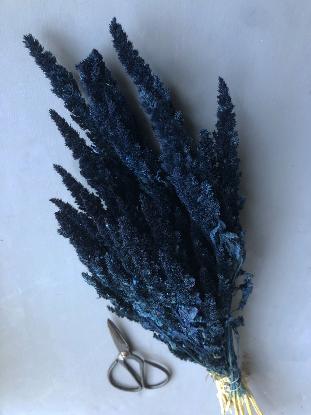 Dried & Floral Deep Blue Amaranthus, Dried Blue Flowers - Etsy UK