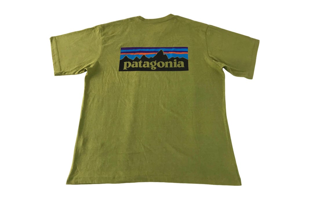 Vintage Patagonia Regular Fit Box Logo Printed Tee T-shirt Unisex Wear ...