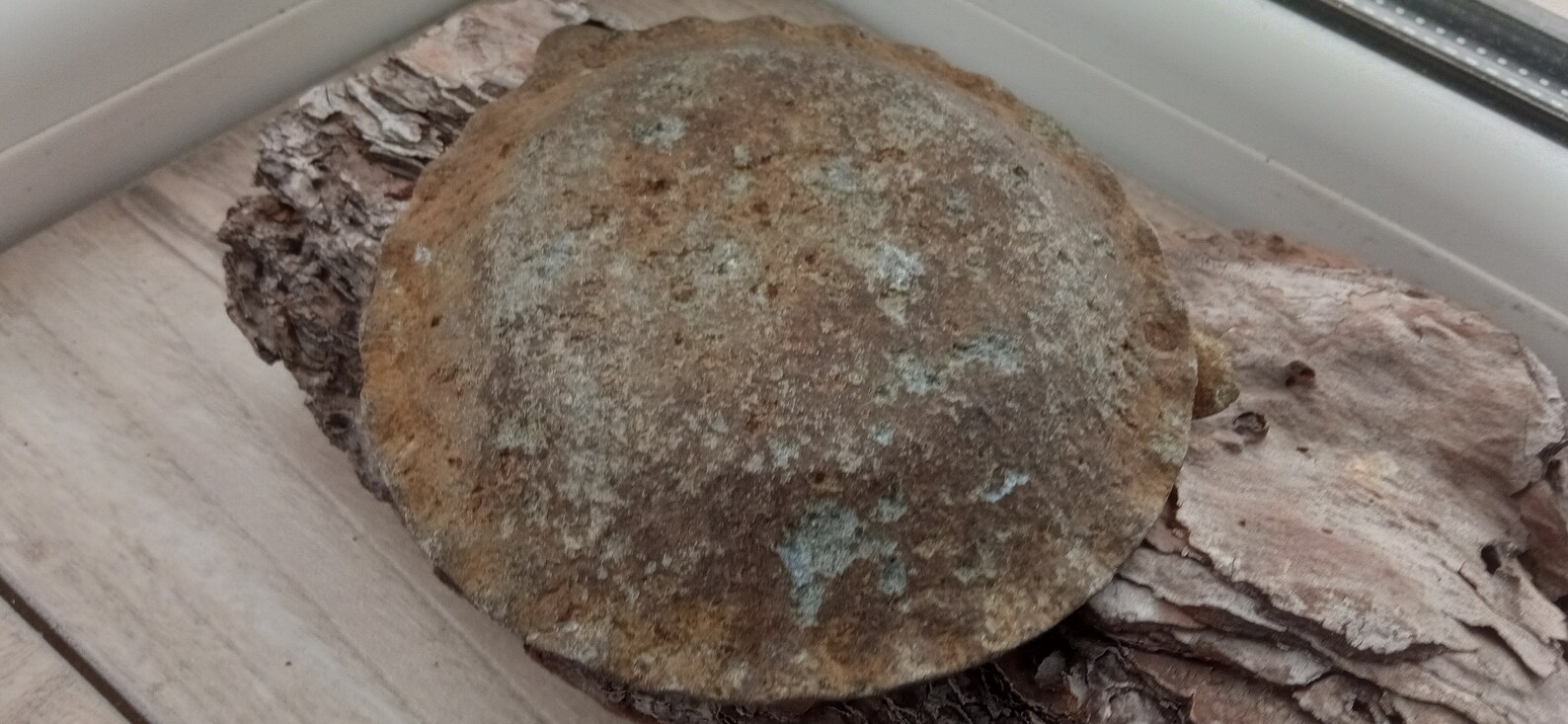 WW1 Artifact Ashtray From Trenches Original Soldier Ashtray | Etsy