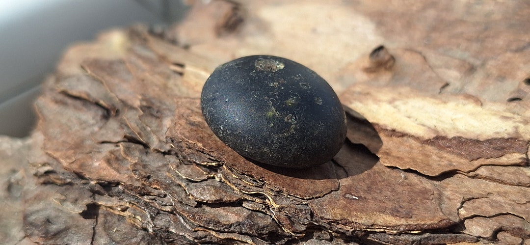 Ancient Gaming Token, Original Gaming Chip of the Roman Empire, Stone ...