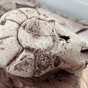 Ancient Smoking Pipe, Medieval Pipe, Original Cossack Pipe From White ...