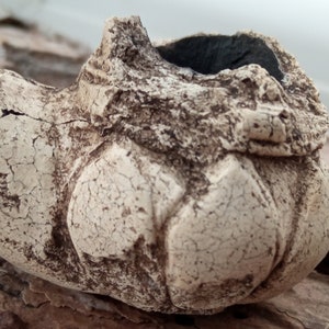 Ancient Smoking Pipe Medieval Pipe Original Cossack Pipe - Etsy