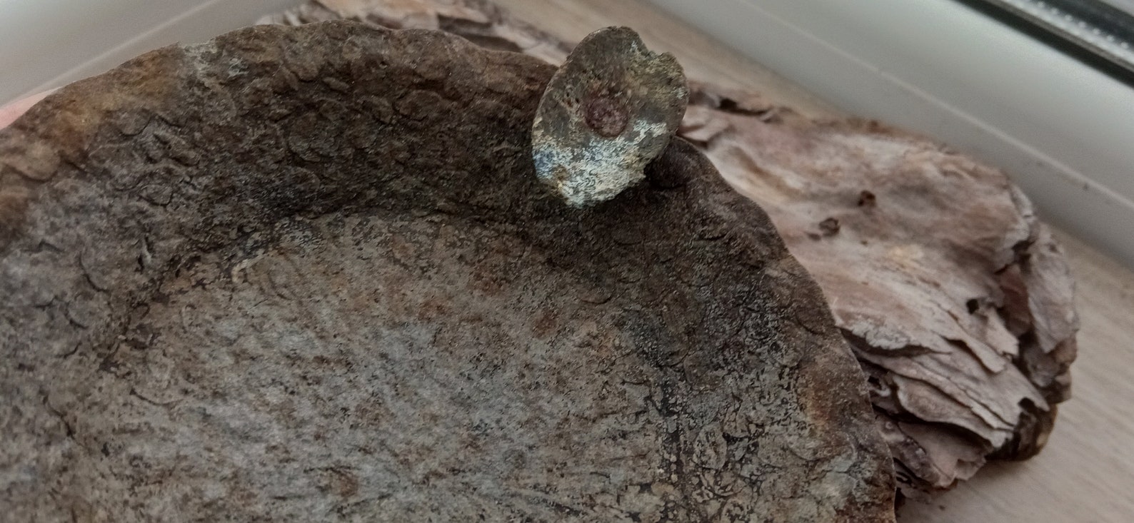 WW1 Artifact Ashtray From Trenches Original Soldier Ashtray | Etsy