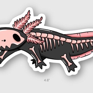 Axolotl Skeleton Sticker | Etsy