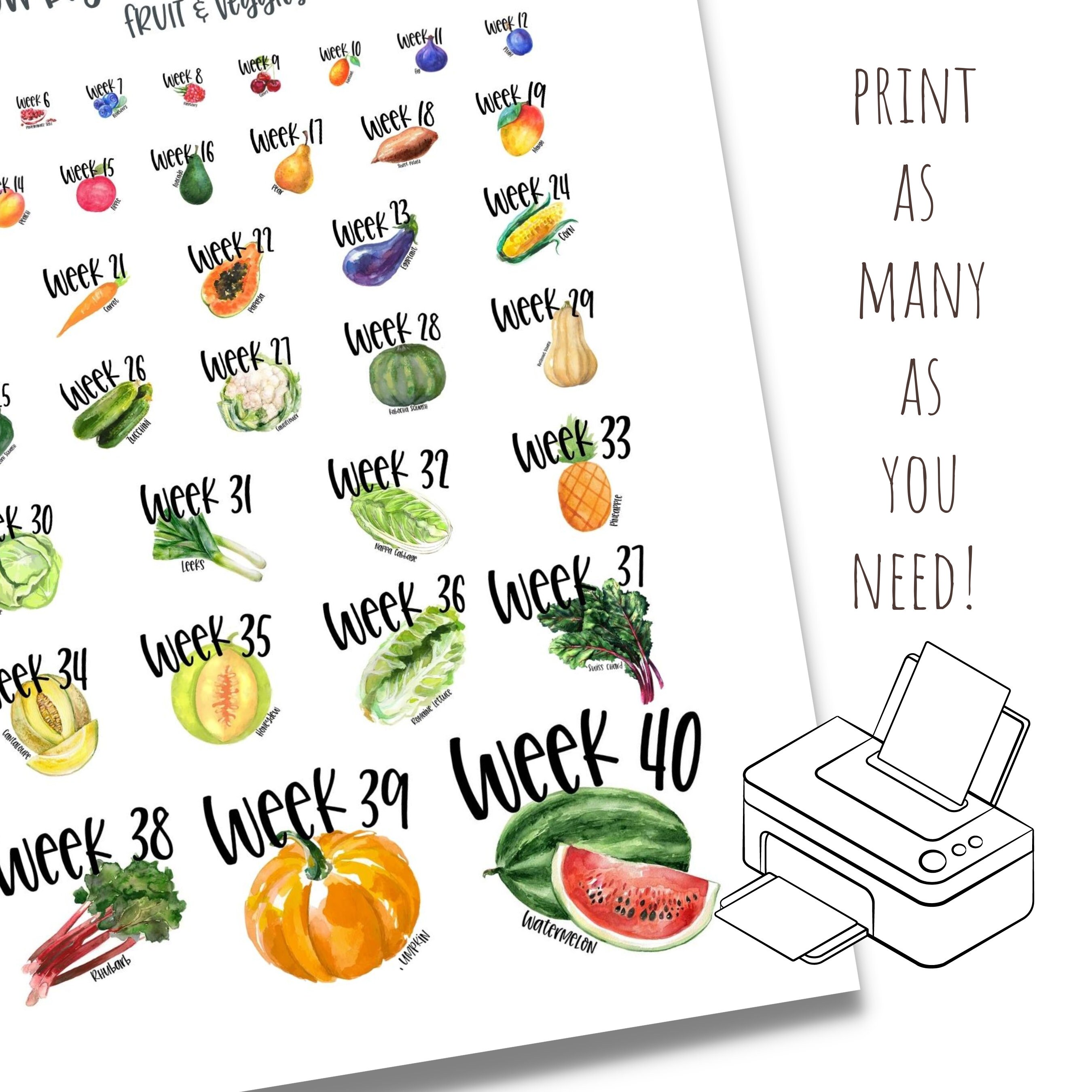 Baby Growth by Week Poster - Baby Sizes by Week Fruit Print - Fetus ...