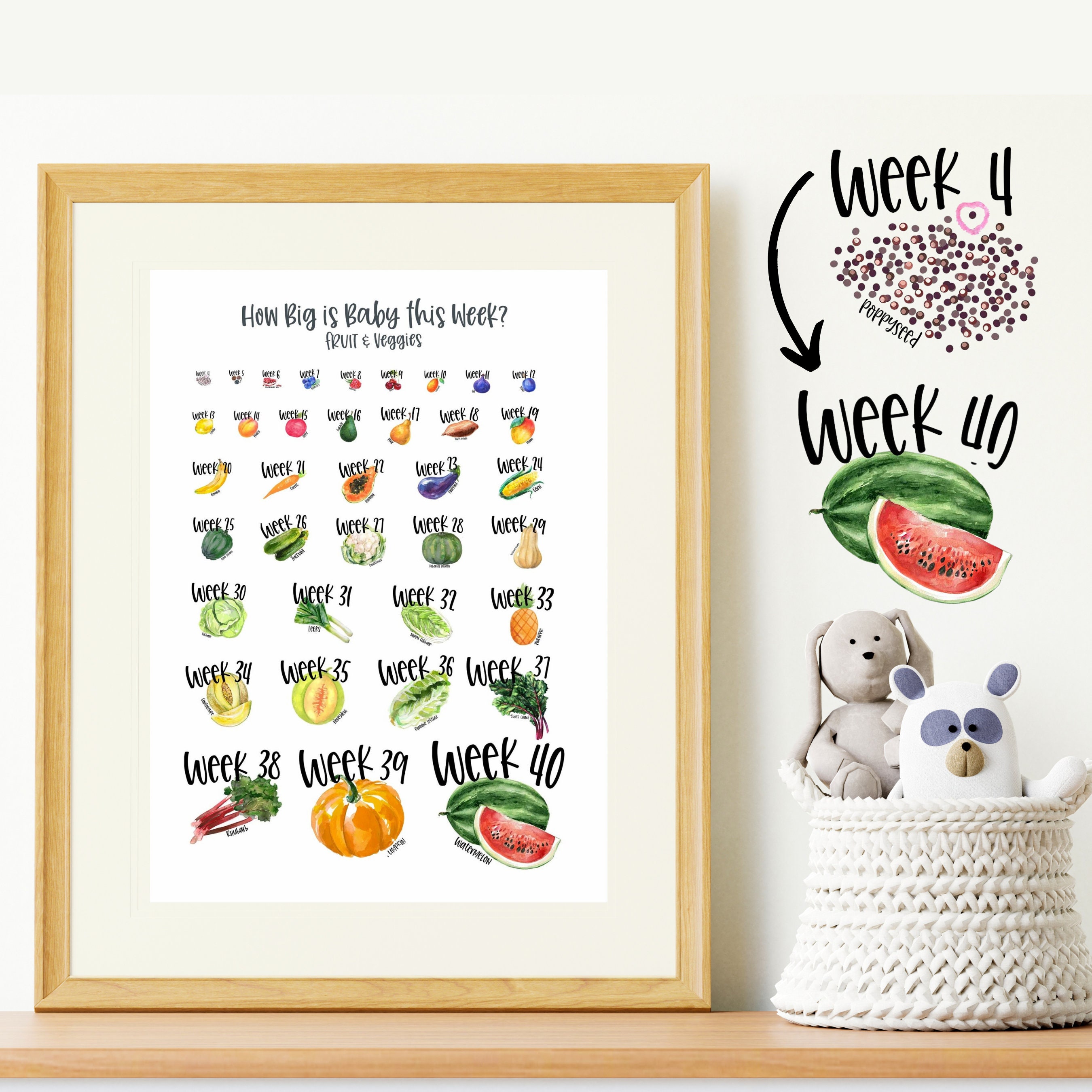 Baby Growth by Week Poster - Baby Sizes by Week Fruit Print - Fetus ...