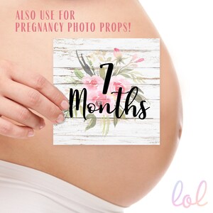 Baby Monthly Photoshoot Props - Pregnancy by Month Photoshoot Prop ...