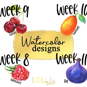 Baby Size by Week Fruit - Clip Art PNG - Baby Size Fruit Week by Week ...