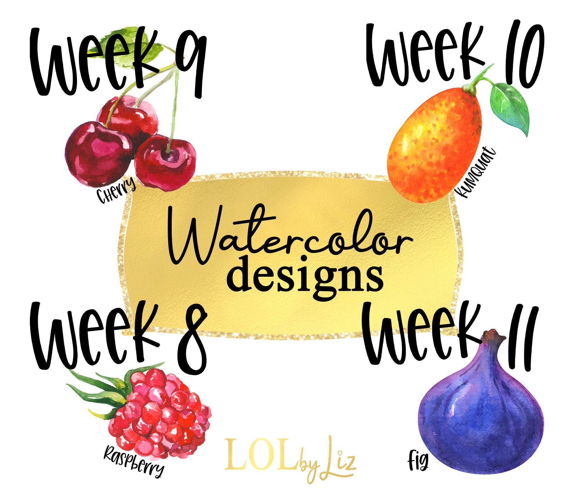 Baby Size by Week Fruit - Clip Art PNG - Baby Size Fruit Week by Week ...