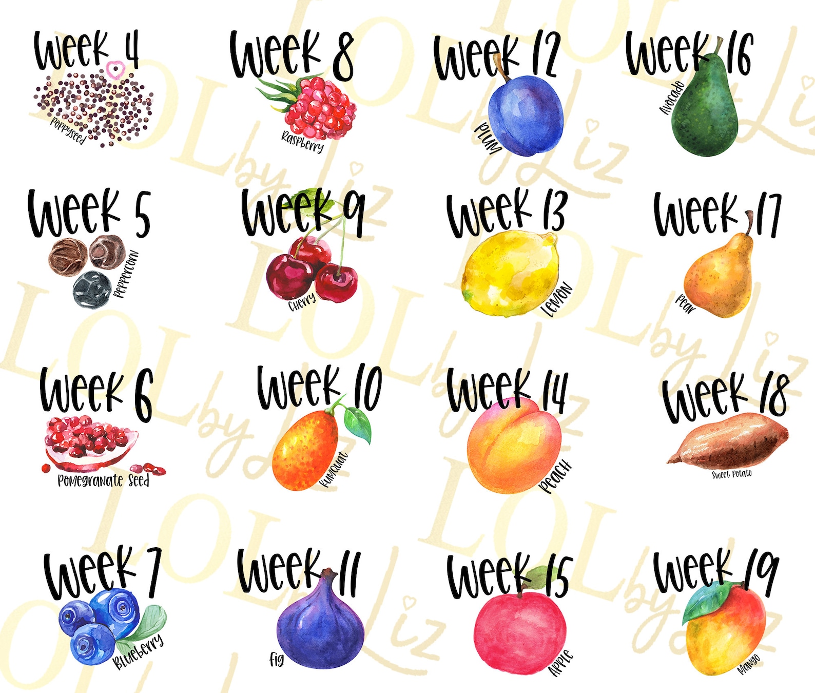 Baby Size by Week Fruit - Clip Art PNG - Baby Size Fruit Week by Week ...