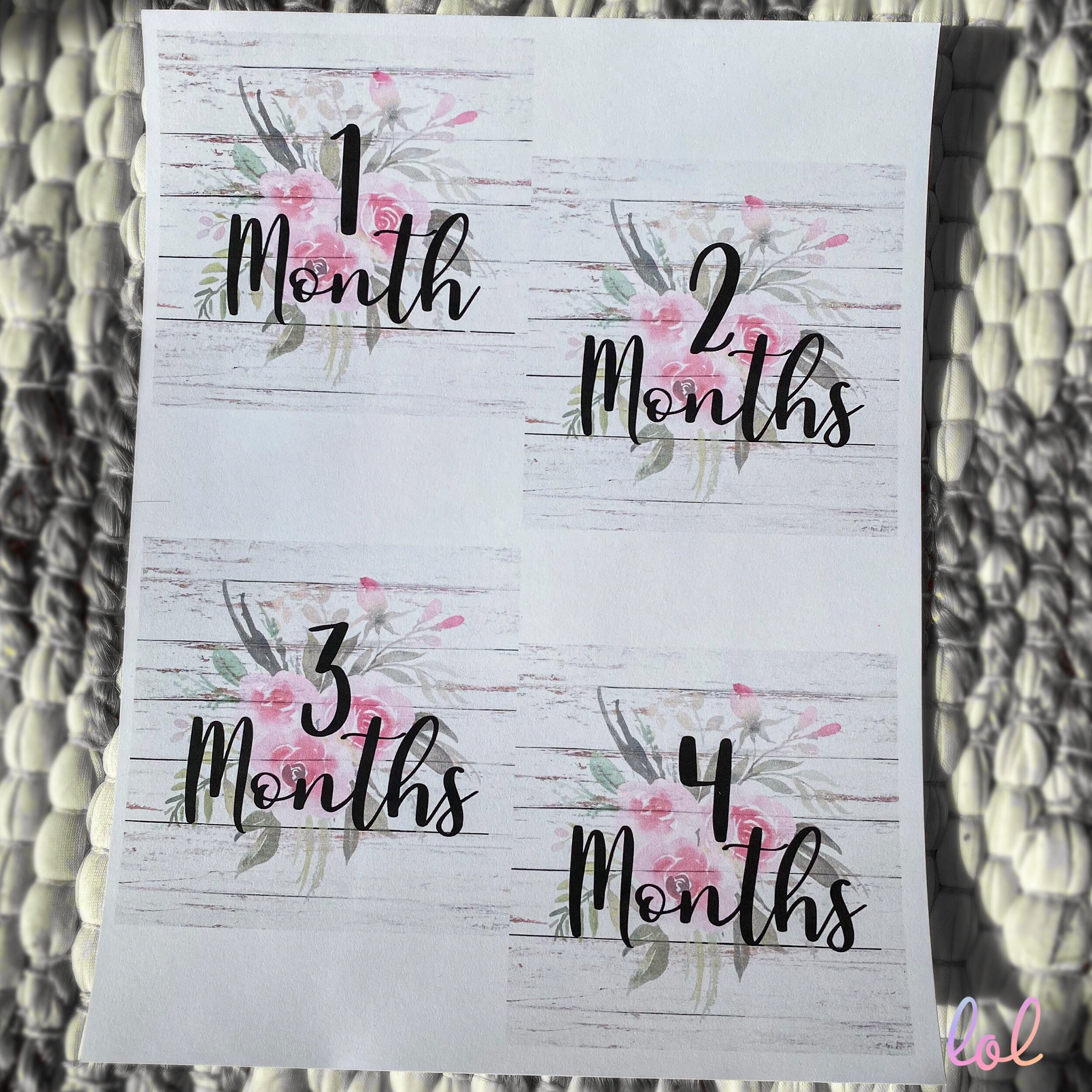 Baby Monthly Photoshoot Props Pregnancy by Month Photoshoot Prop Baby ...