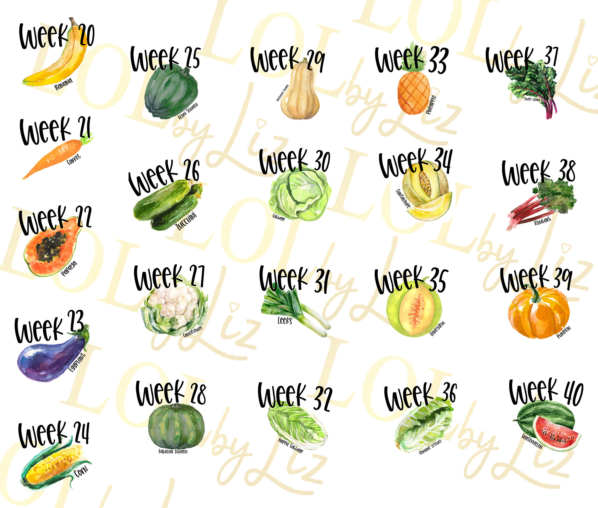 Baby Size by Week Fruit - Clip Art PNG - Baby Size Fruit Week by Week ...