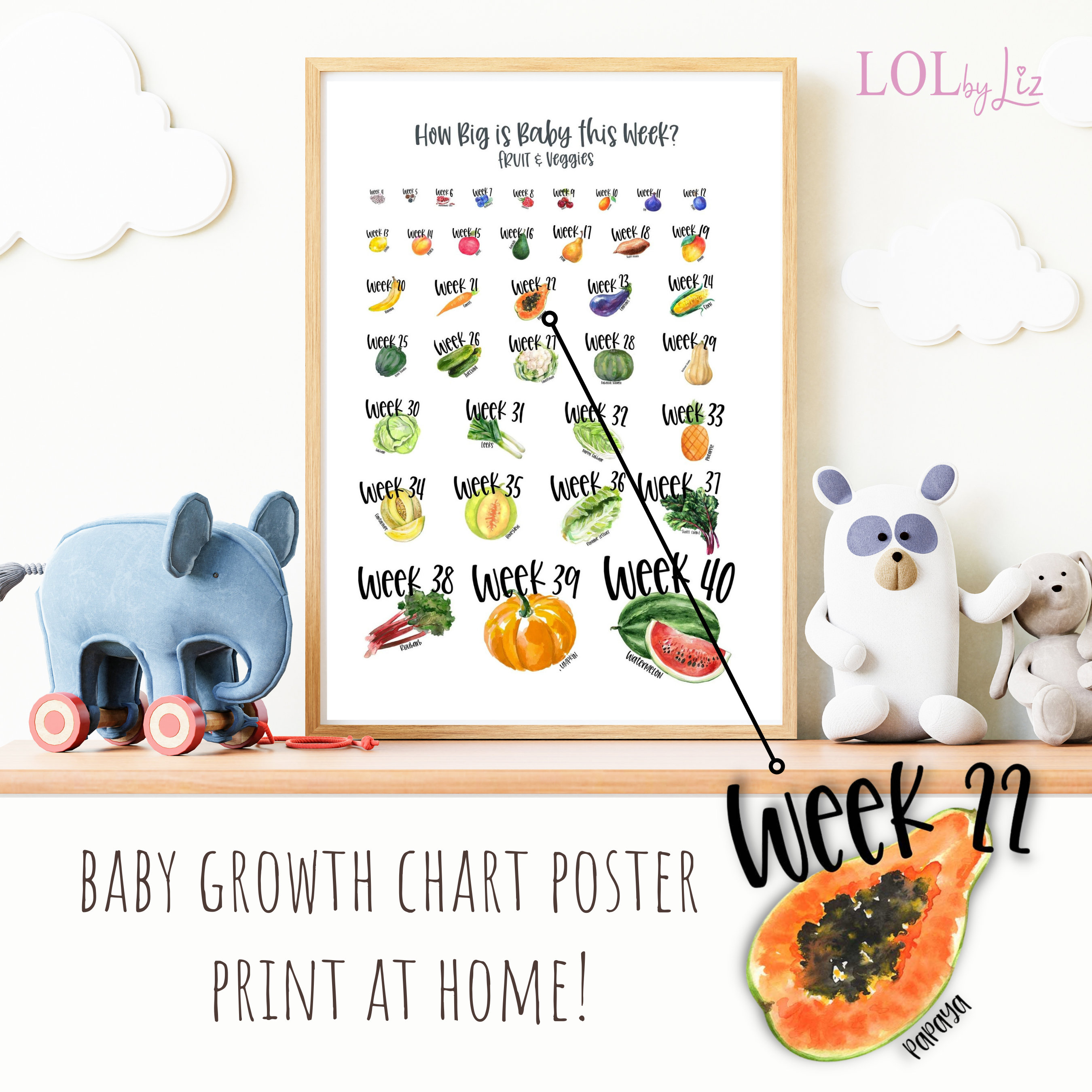 Baby Growth by Week Poster - Baby Sizes by Week Fruit Print - Fetus ...