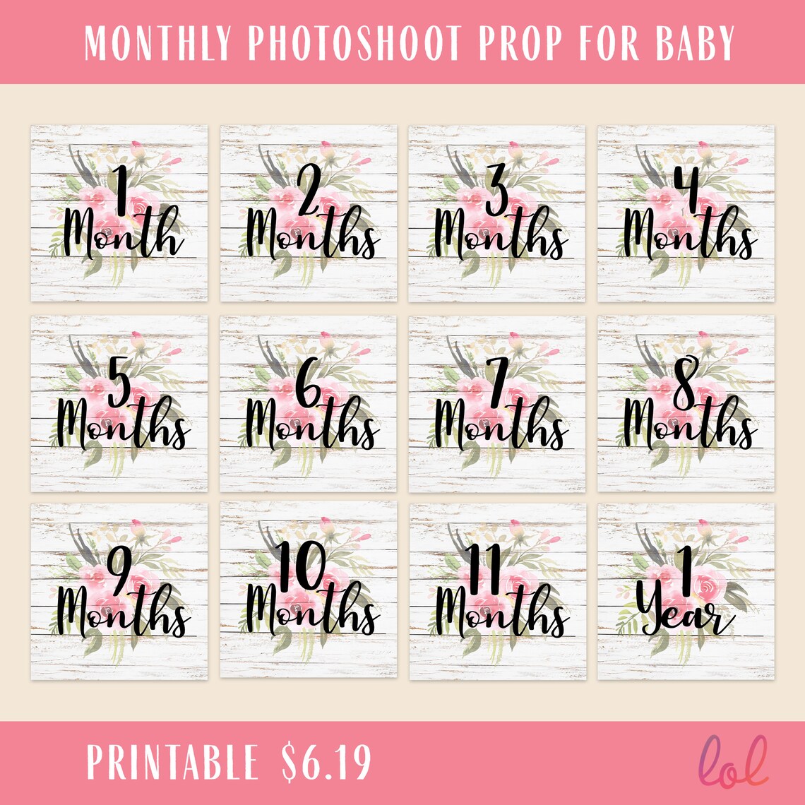 Baby Monthly Photoshoot Props - Pregnancy by Month Photoshoot Prop ...