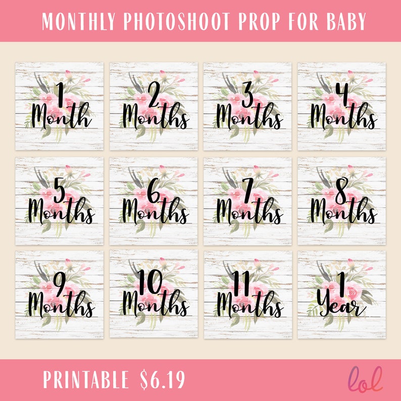 Baby Monthly Photoshoot Props - Pregnancy by Month Photoshoot Prop ...