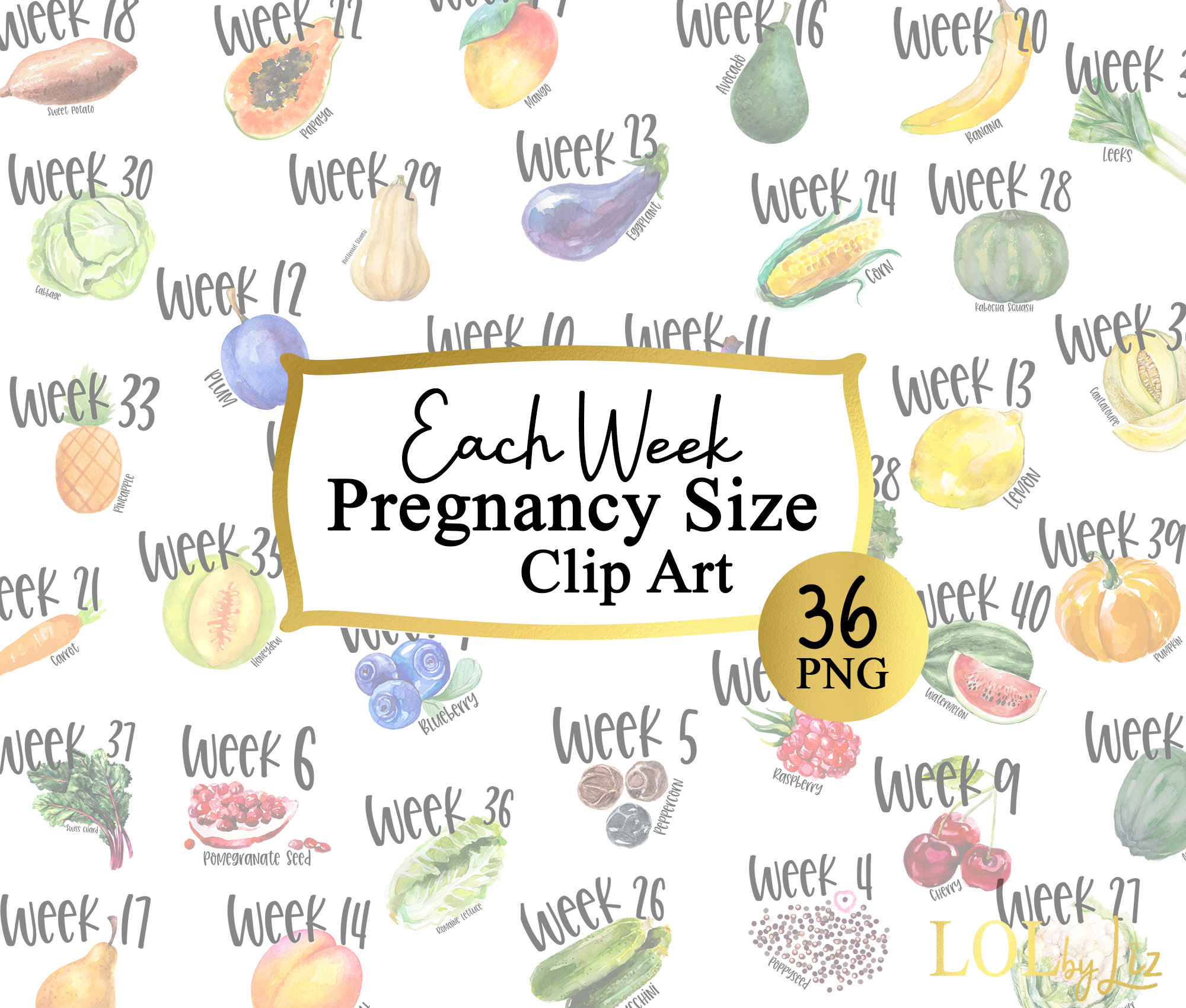 Baby Size by Week Fruit - Clip Art PNG - Baby Size Fruit Week by Week ...