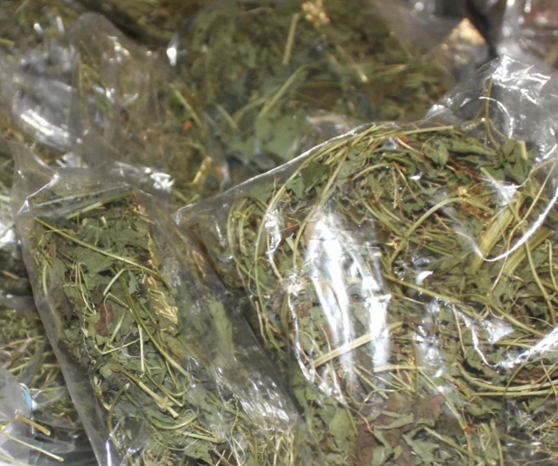 Asosi Haitian Herb Tea Cerasee Tea Herb Asowosi Etsy