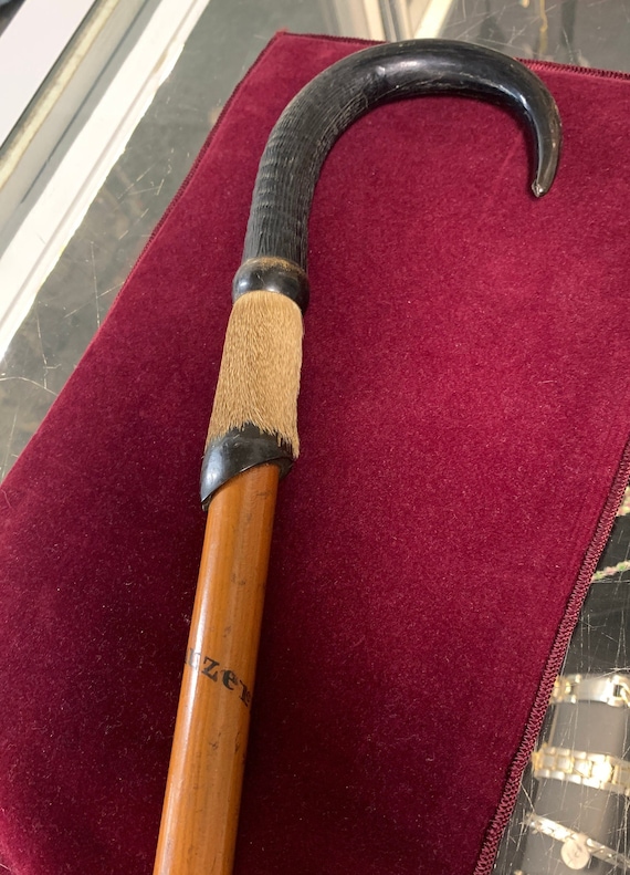 Vintage Alpine Walking Stick | Etsy