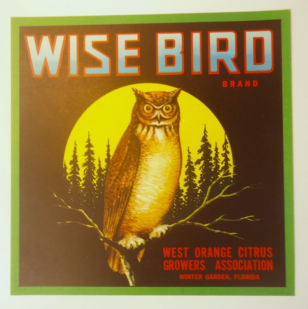 Vintage ORIGINAL Crate Label Wise Bird Brand Orange Citrus Label Owl ...