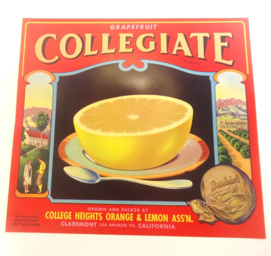 Vintage ORIGINAL Crate Label Collegiate Brand Grapefruit Claremont - Etsy