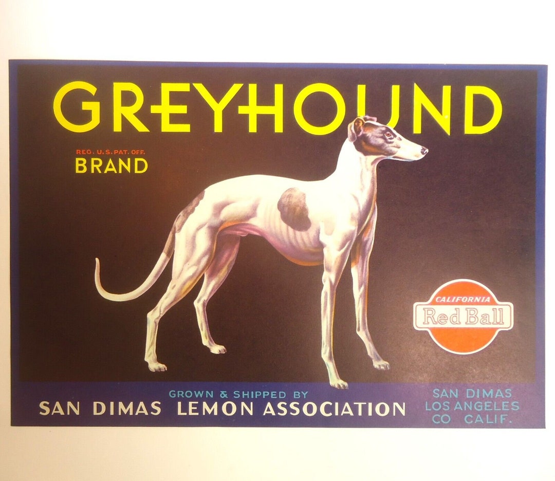 Vintage Crate Label ORIGINAL Greyhound Brand Lemons Citrus San Dimas ...