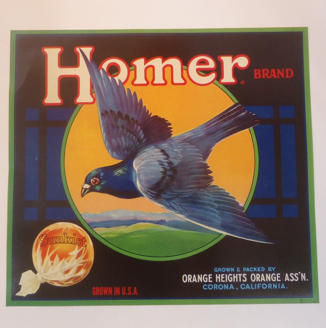 Lot of 10 Vintage ORIGINAL Crate Labels Homer Brand Oranges Pigeon Lot ...