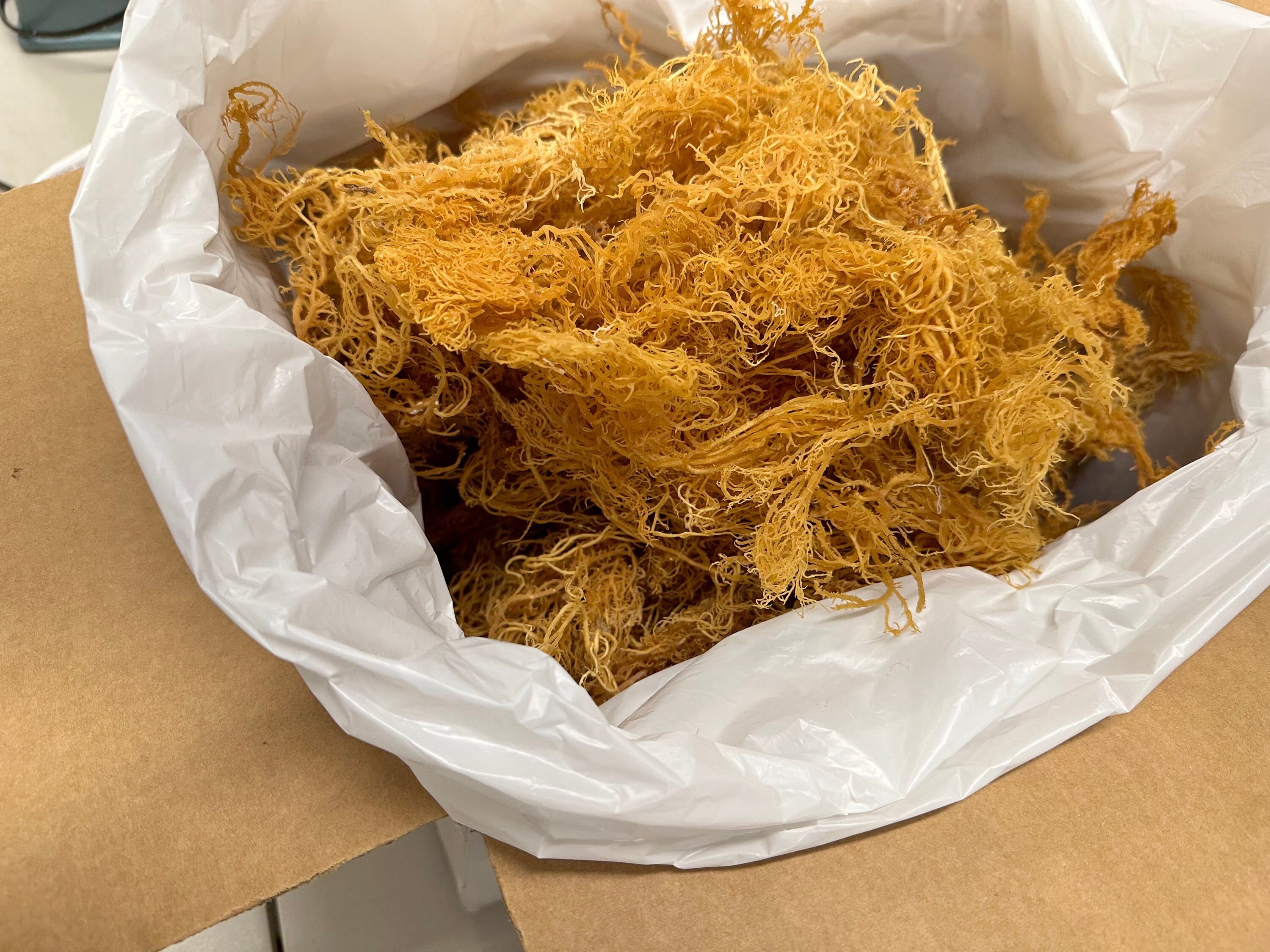 Sea Moss Ocean Harvested | Wildcrafted Wholesale Gold Seamoss | Non GMO ...