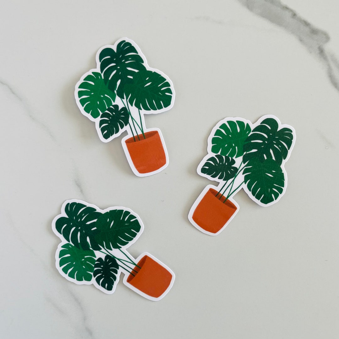 Monstera Plant Sticker// Aesthetic Monstera Leaf Sticker // Cute Plant ...