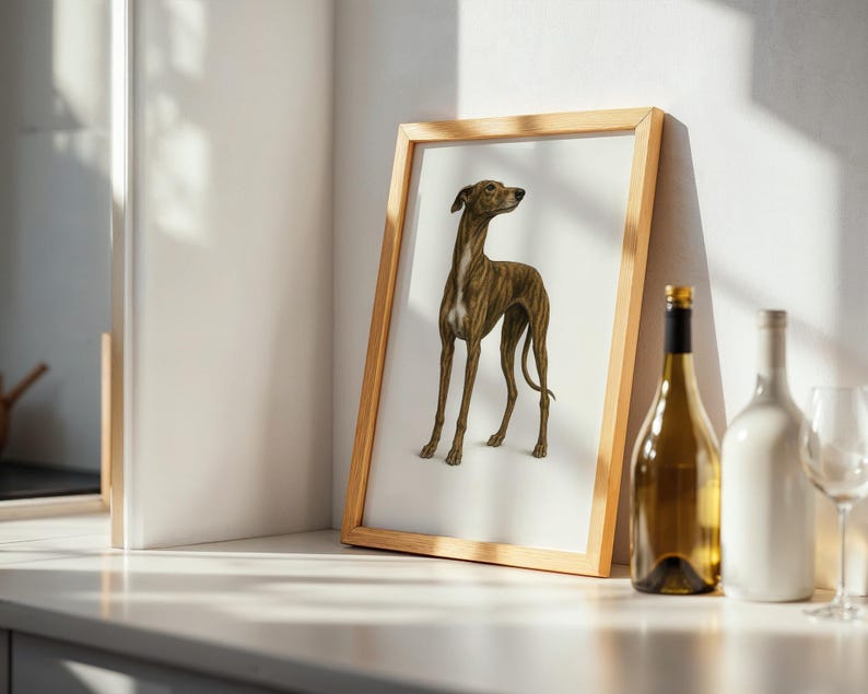 Brindle Greyhound Poster Elegant Whippet Drawing Print Galgo Wall Decor ...