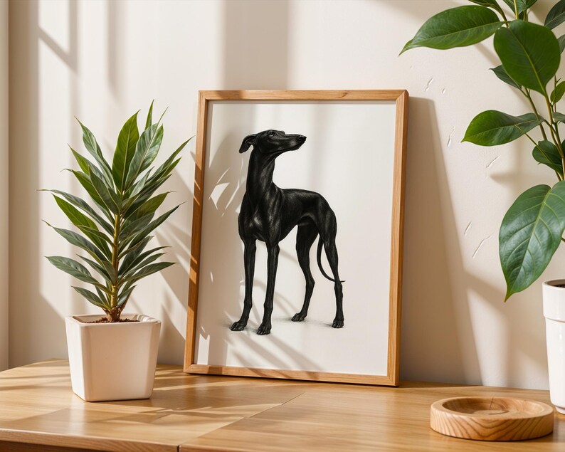Black Greyhound Poster Elegant Whippet Drawing Print Galgo Wall Decor ...