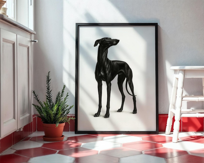 Black Greyhound Poster Elegant Whippet Drawing Print Galgo Wall Decor ...