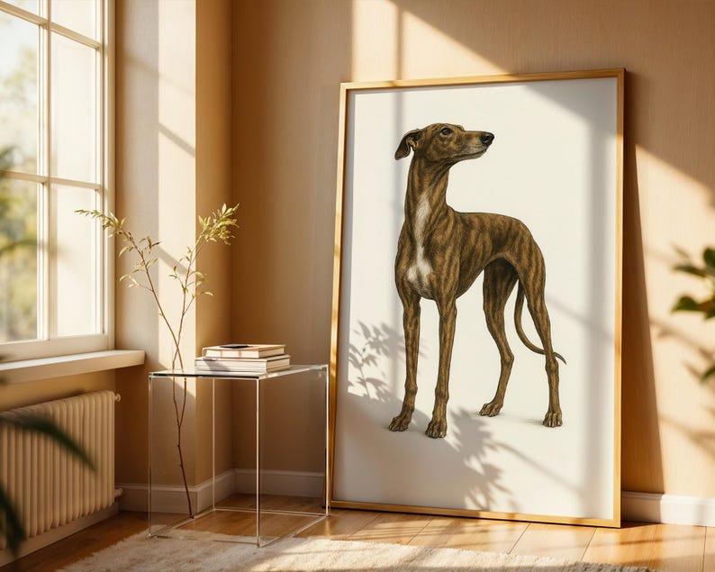Brindle Greyhound Poster Elegant Whippet Drawing Print Galgo Wall Decor ...