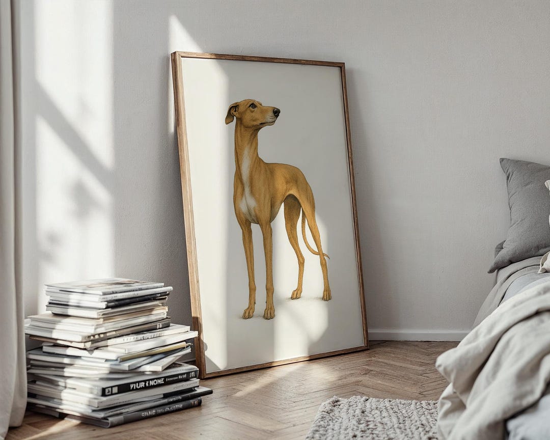 Fawn Greyhound Poster Elegant Whippet Drawing Print Galgo Wall Decor ...