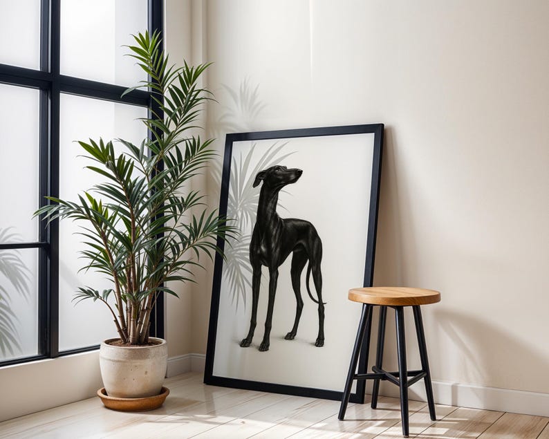 Black Greyhound Poster Elegant Whippet Drawing Print Galgo Wall Decor ...