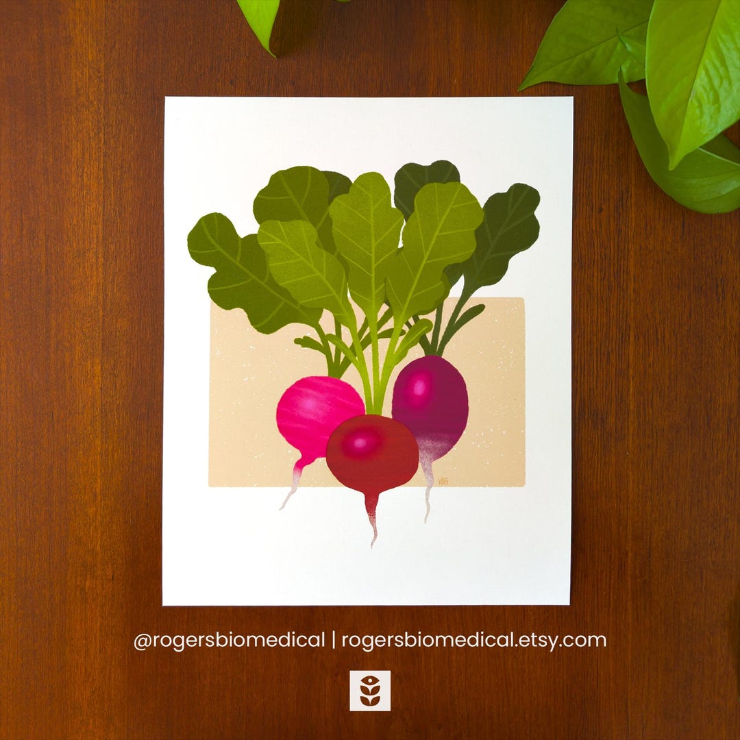 Radish Art Print | Vegetable Art | Kitchen | Kitchen Art | Radish ...