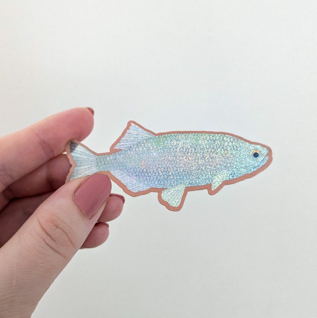 Fish Vinyl Sticker | Silly Glittery Fish Sticker - Etsy