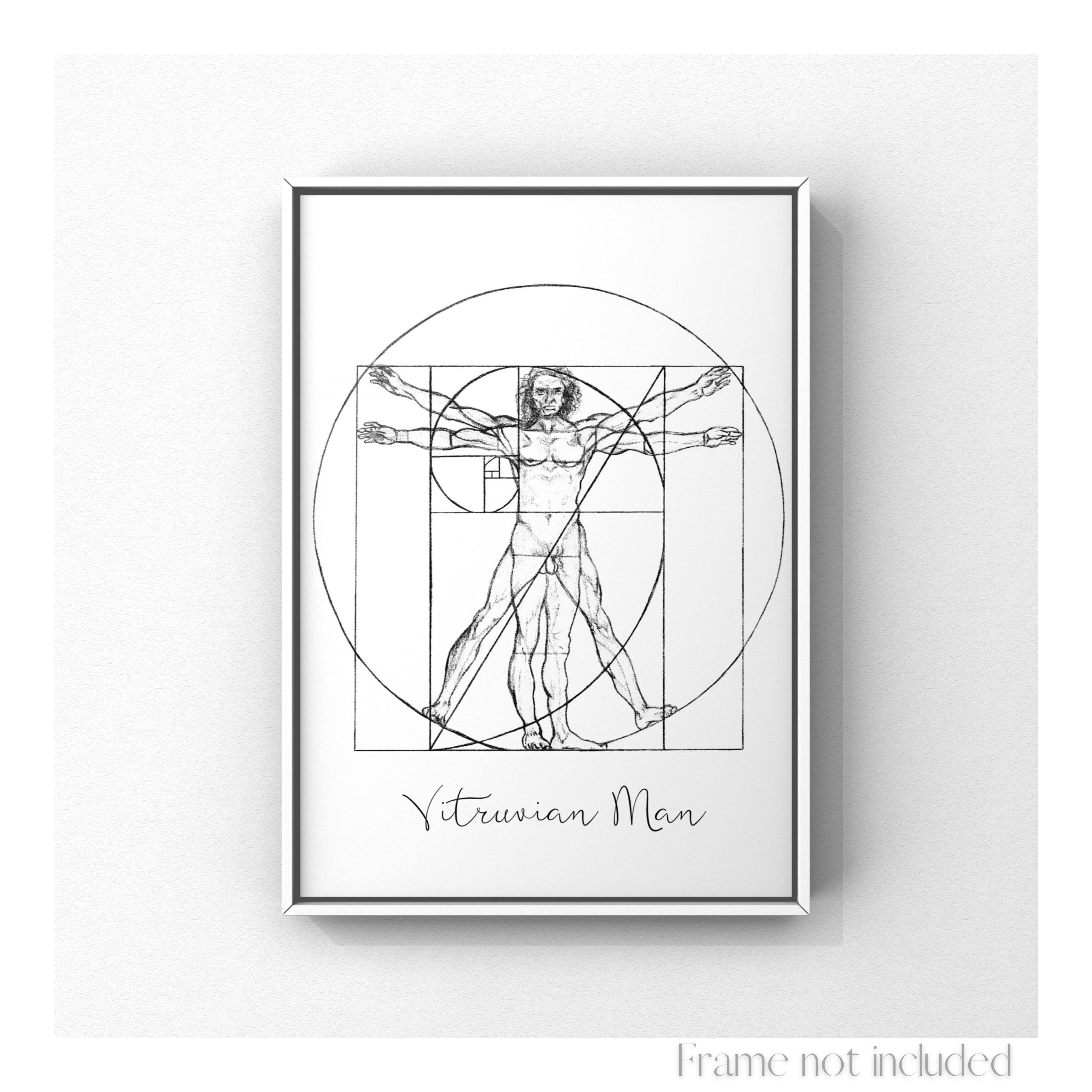 Vitruvian Man Leonardo Da Vinci Print Golden Ratio L'uomo Vitruviano ...
