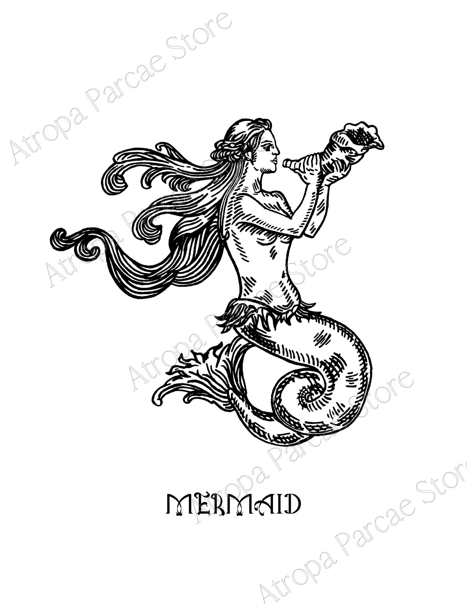 Mermaid Siren Illustration Print Aquatic Fantastic Creature | Etsy