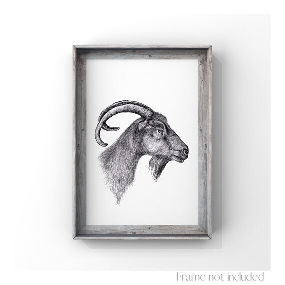 Mendes Goat Baphomet Animal Illustration Print Amalthea - Etsy