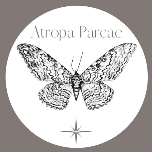 Atargatis Mermaid Derketo Siren Illustration Print Ocean Drawing Marine ...