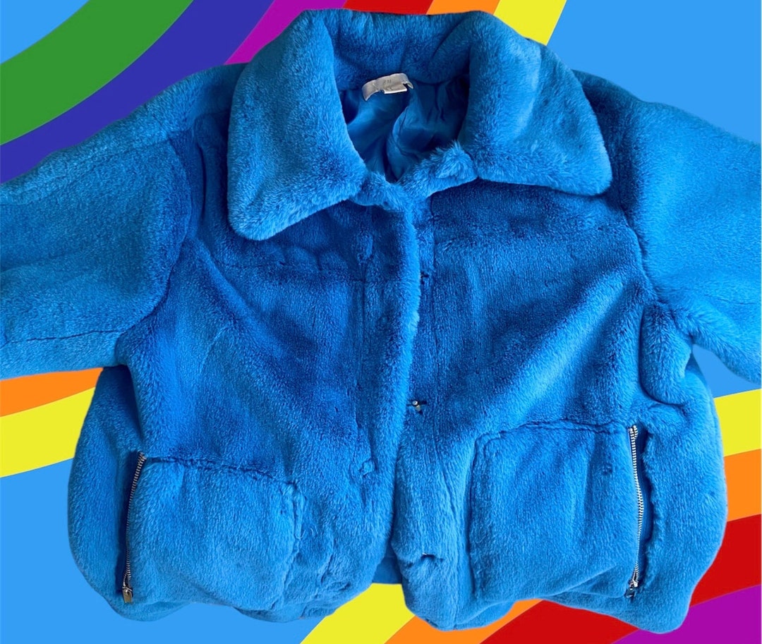 Fur Coat, Blue, Fluffy, Fur, Faux Fur, Warm, Coat, Clothes, Winter ...